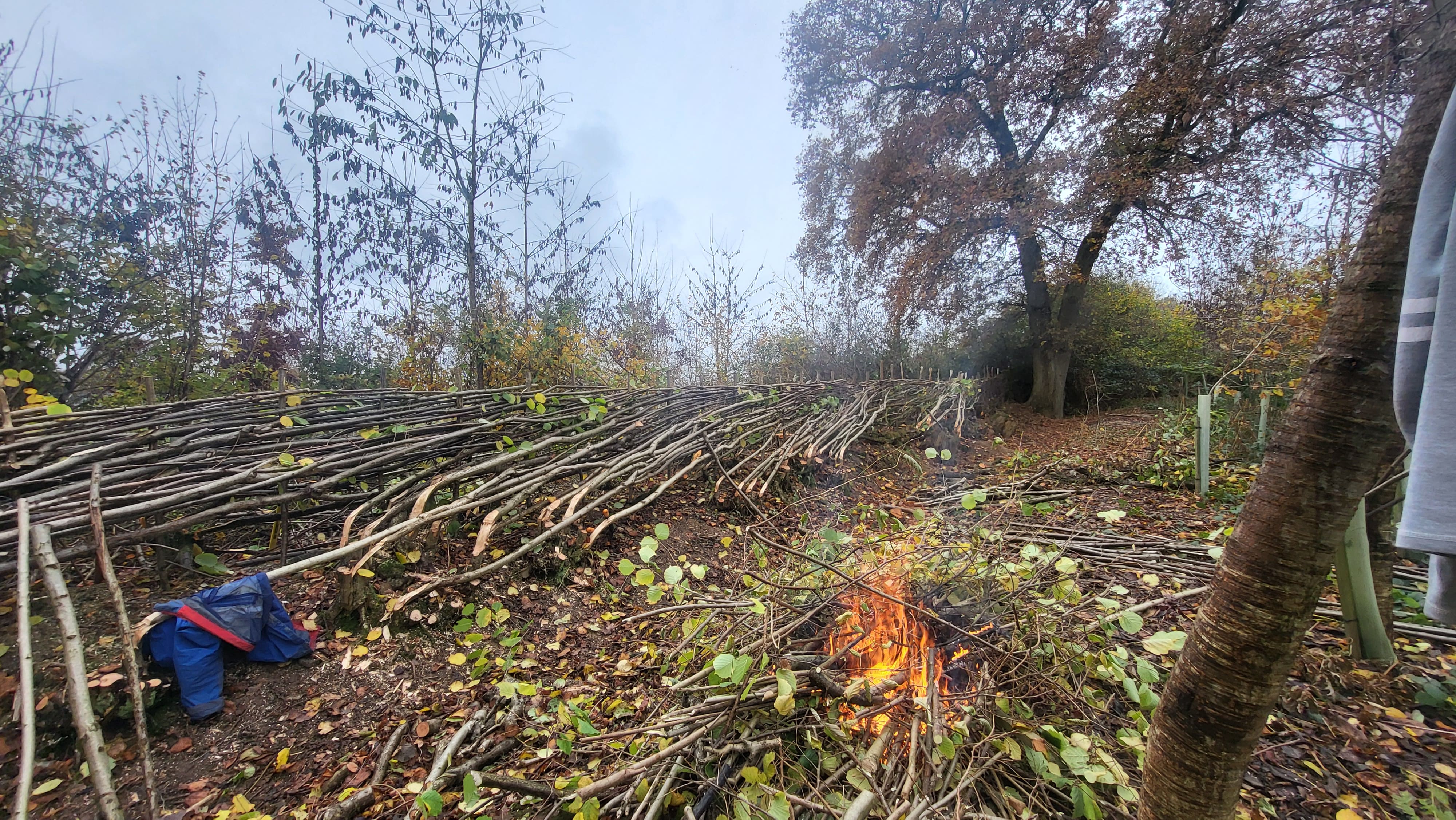 Winter prep – Two Beacons Vineyard